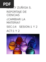 EXPERIMENTO TINTA INVISIBLE CON CURCUMA_20250203_094212_0000 | PDF ...