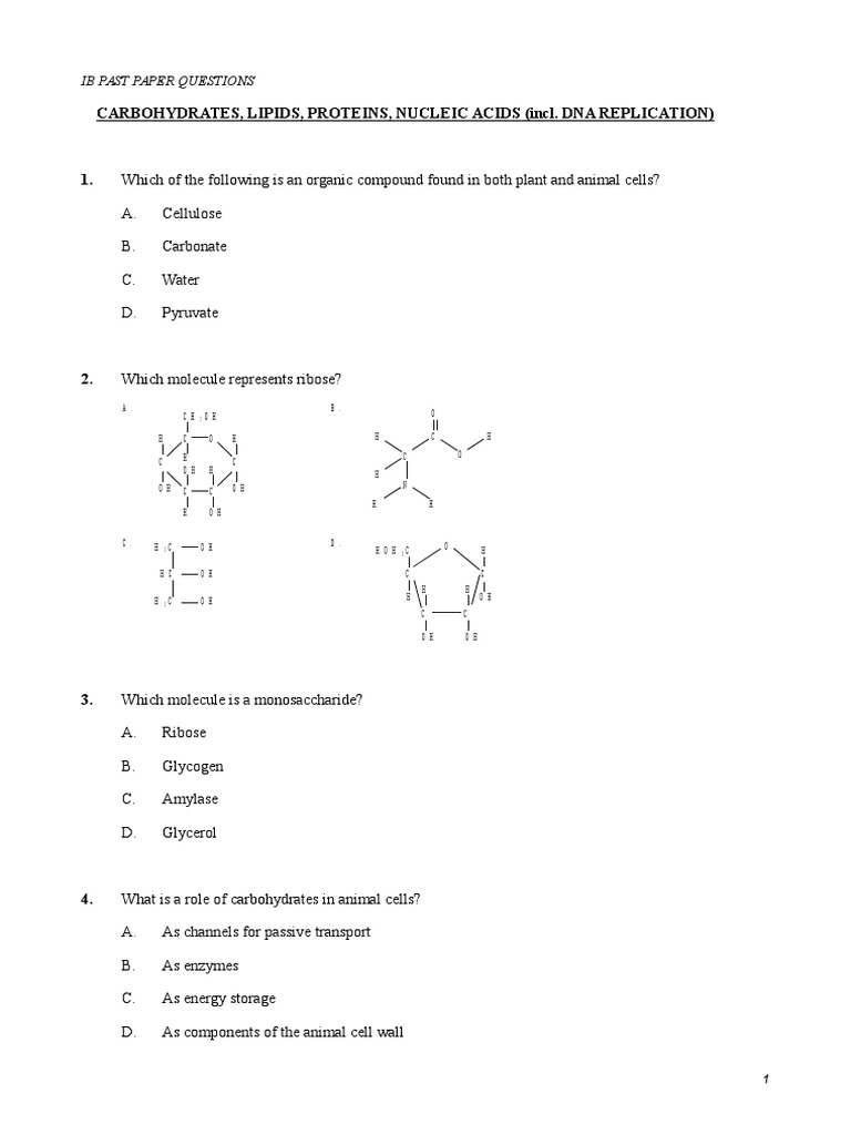 IB Biology: Carbohydrates & Lipids Quiz | PDF | Dna | Sense (Molecular ...