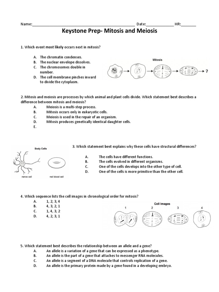 Keystone Prep - Mitosis Meiosis | PDF | Cell (Biology) | Gene