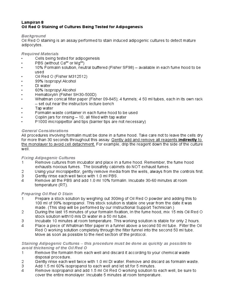 Pewarnaan Oil Red O Pdf Staining Biology