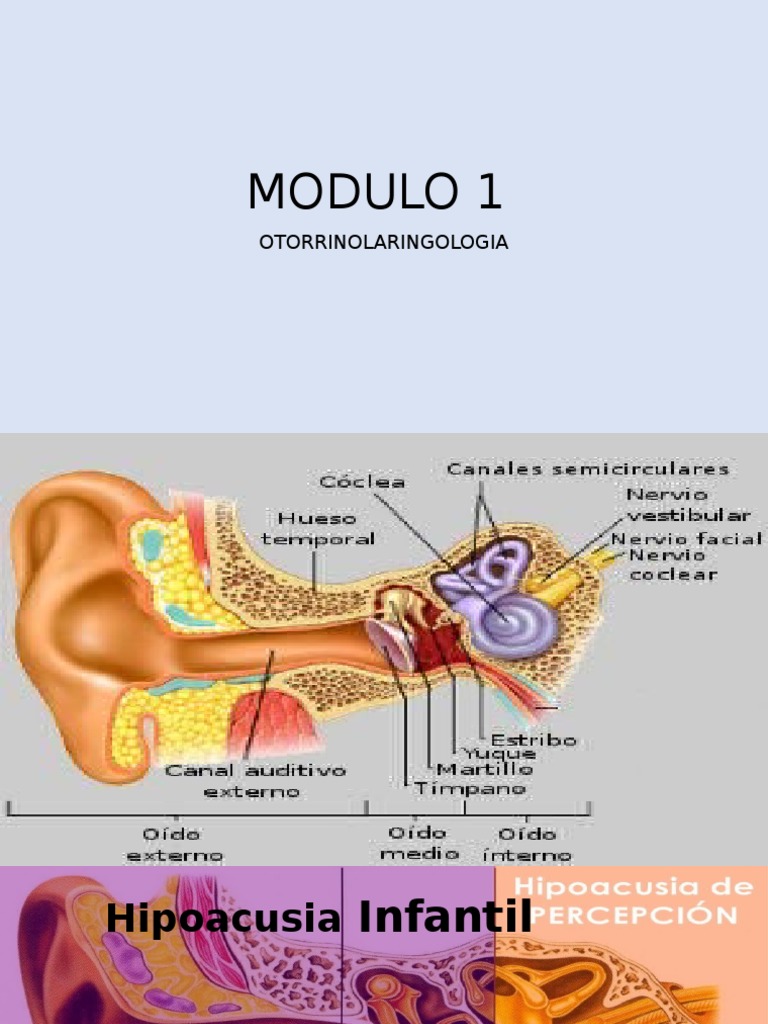 Resume Orl | PDF | Enfermedades y trastornos | Especialidades Medicas