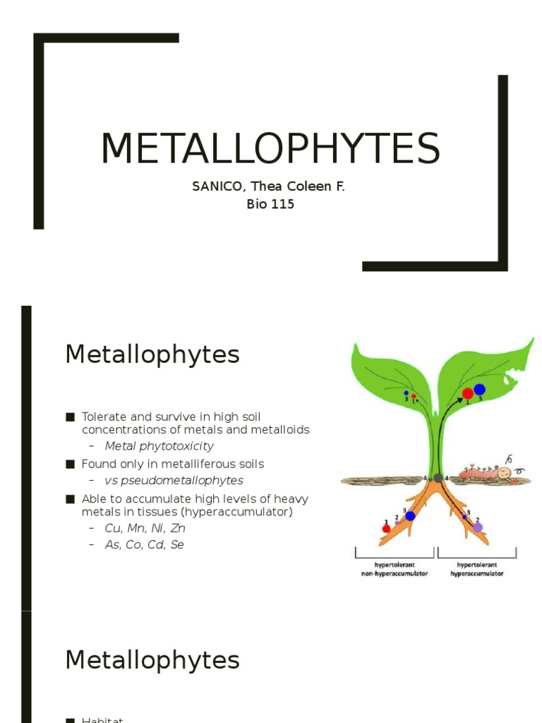 115 - Metallophytes | Natural Environment | Ecology