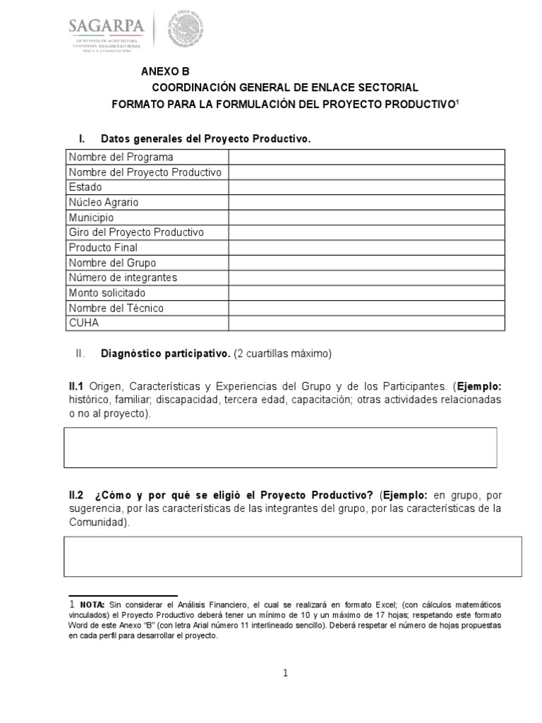 ANEXO B. Formulación Del Proyecto Productivo - FAPPA | PDF