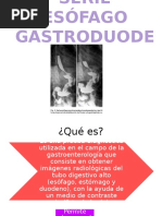 Protocolo de Tránsito Intestinal | PDF | Intestino delgado | Diarrea