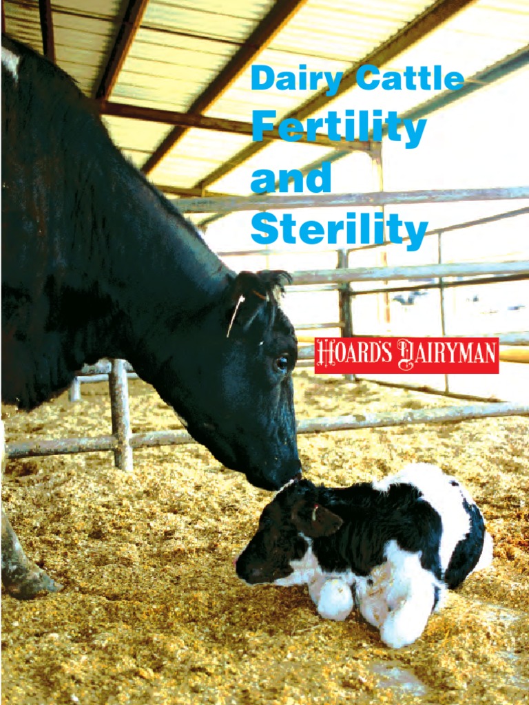 Dairy Cattle Fertility and Sterility | PDF | Testicle | Infertility