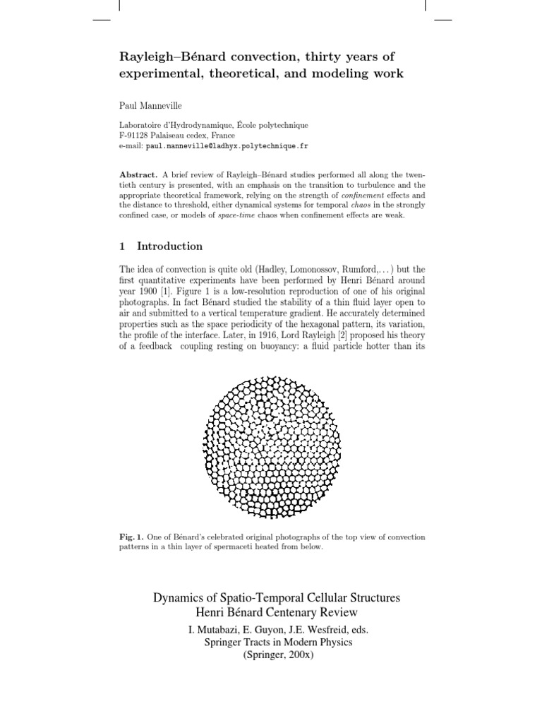 Rayleigh Benard Convection | PDF | Chaos Theory | Turbulence