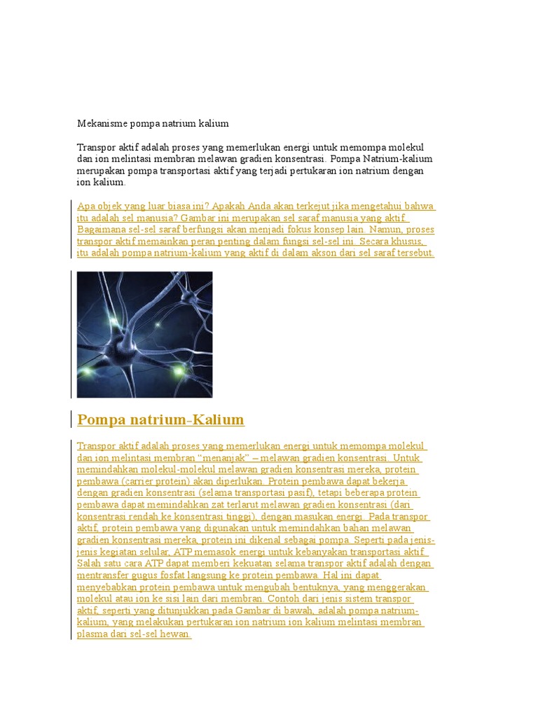 Mekanisme Pompa Natrium-Kalium | PDF