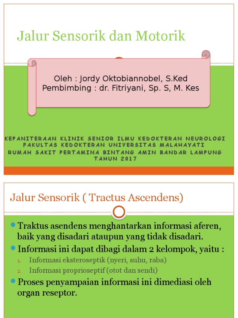 Referat Jaras Sensorik Motorik | PDF