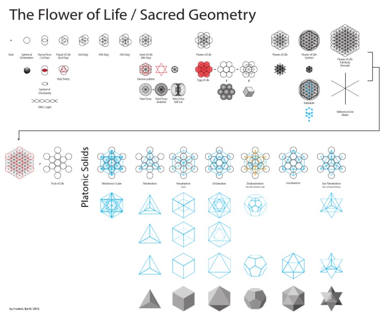 The Flower of Life | PDF | Euclidean Geometry | Geometric Shapes