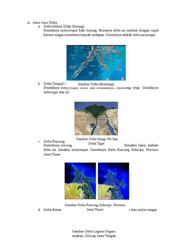 Jenis Jenis Delta | PDF