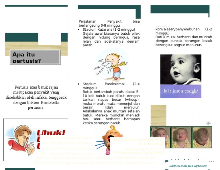 Leaflet Pertusis | PDF