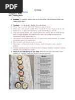 Oreo Mitosis Lab | PDF | Mitosis | Cell Biology
