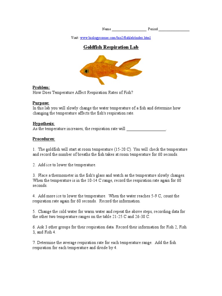 goldfish respiration lab | Temperature | Breathing