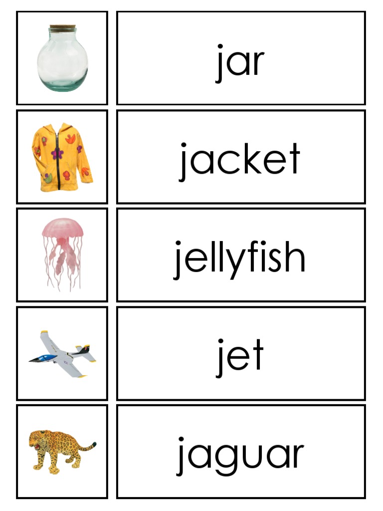 Jar Jacket Jellyfish Jet Jaguar | PDF