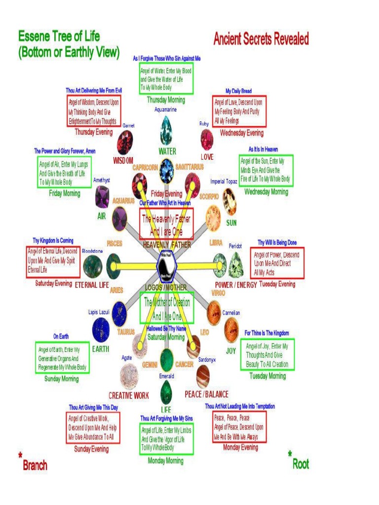 Essene Tree Life | PDF