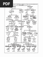 Dr. Dioscoro S. Rabor. | PDF | Conservation Biology | Organisms