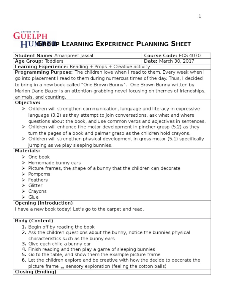 Activity Bunny | PDF
