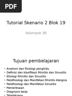 Cold & Cough, Rhinitis - Kelompok 2 - Modul Pernapasan B | PDF