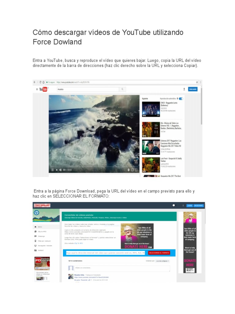 Cómo Descargar Vídeos de YouTube Utilizando Force Dowland | PDF
