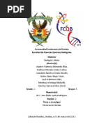 Floroglucina Info | PDF | Lignina | Polímeros