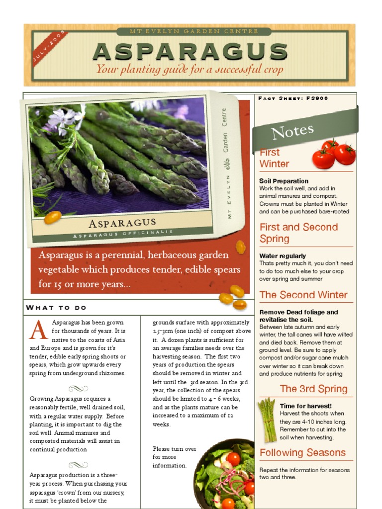 Asparagus Planting and Care Guide | PDF | Asparagus | Soil Fertility