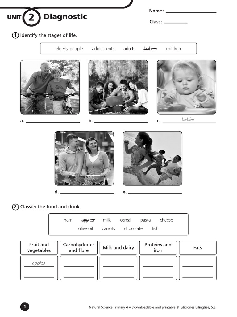 Diagnostic Activities Unit 2 PDF | PDF | Yogurt | Milk