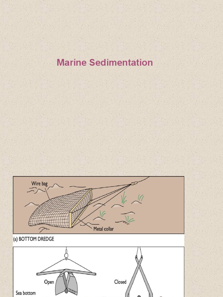 Tulane University - Marine Sedimentation | PDF