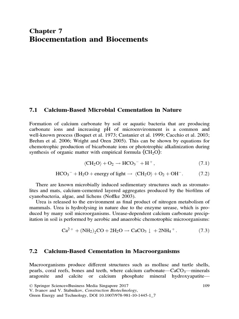 Biocementation and Biocements | PDF | Growth Medium | Staphylococcus