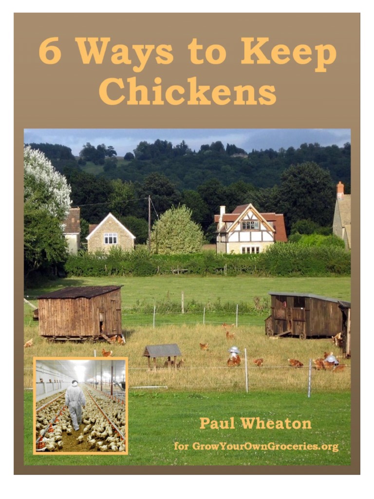 6 Ways To Keep Chickens | PDF | Intensive Animal Farming | Chicken
