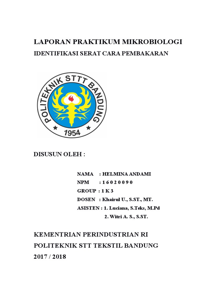 Laporan Praktikum Pembakaran | PDF | Sains & Matematika