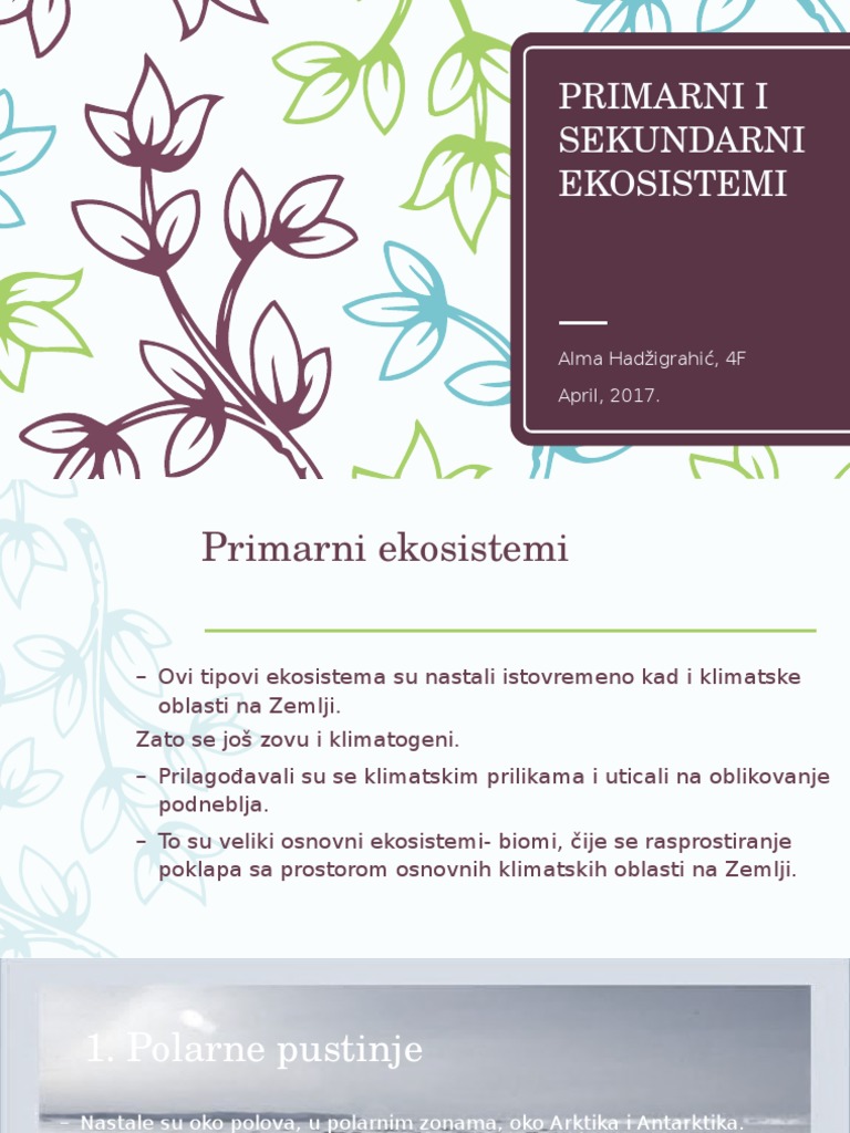 Primarni i Sekundarni Ekosistemi