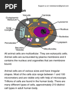 Cell Basics for Students | PDF | Cell (Biology) | Organisms