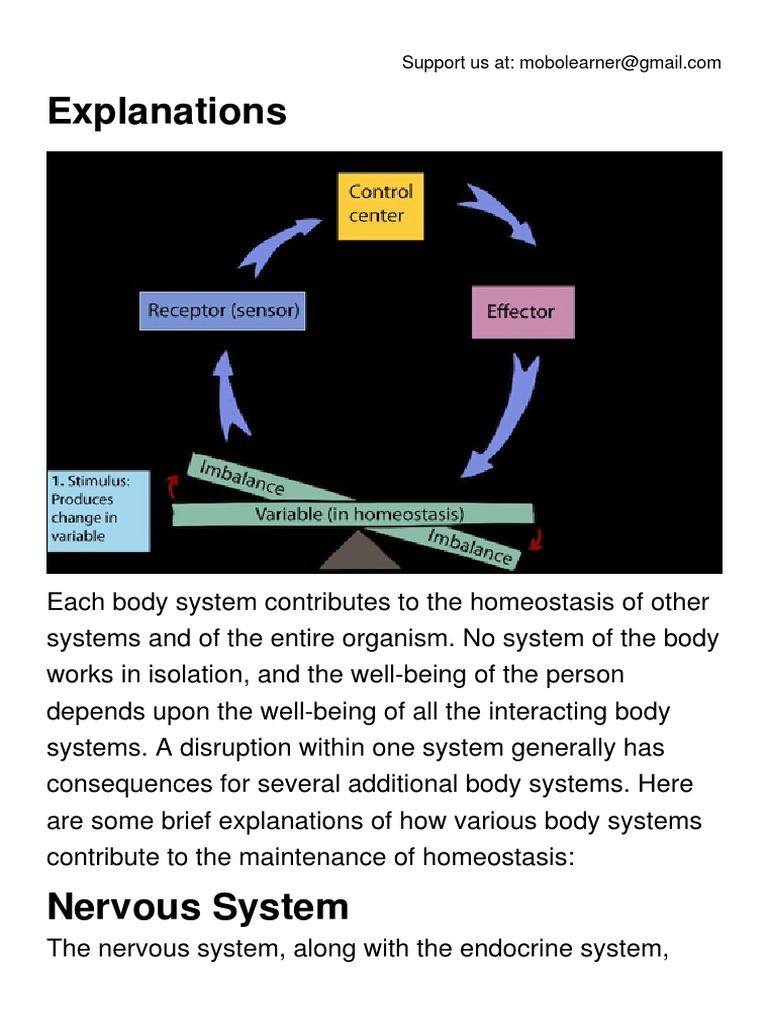 Homeostasis Throughout the Body.pdf | Homeostasis | Digestion