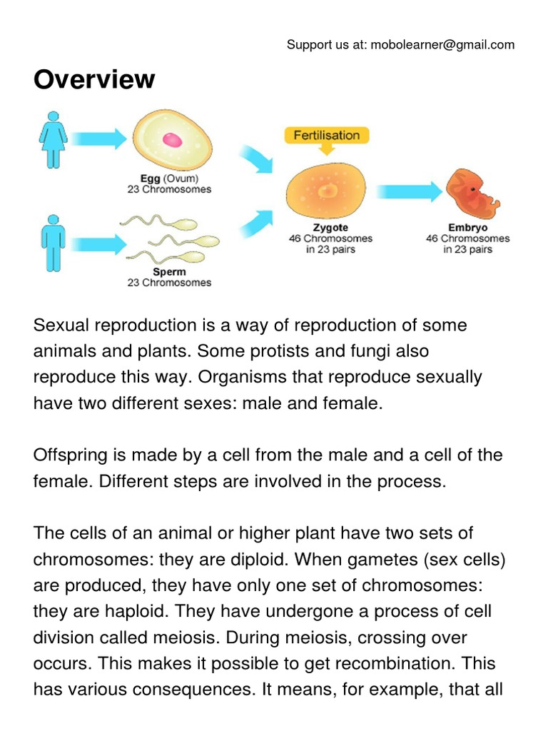 Sexual Reproduction PDF | PDF | Fertilisation | Ploidy