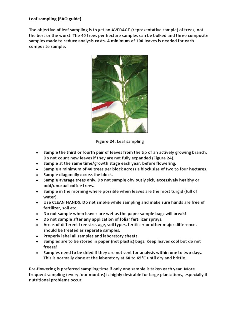 Leaf Sampling | PDF | Leaf | Trees