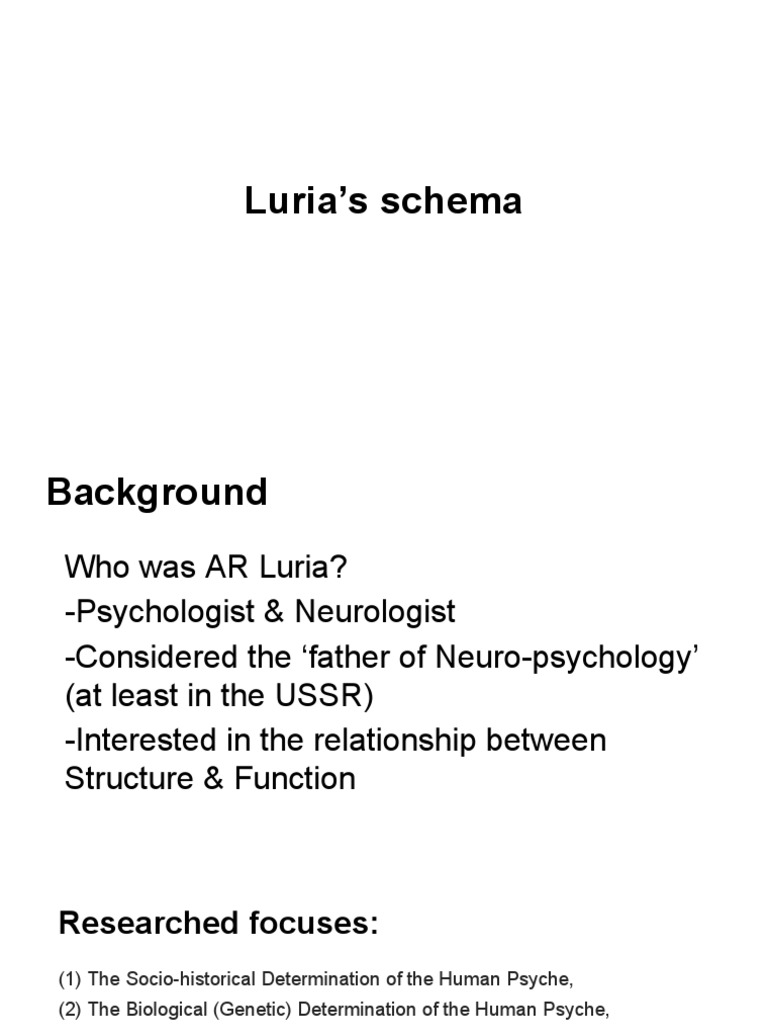 Lurias Schema PDF | PDF | Cerebral Cortex | Brain