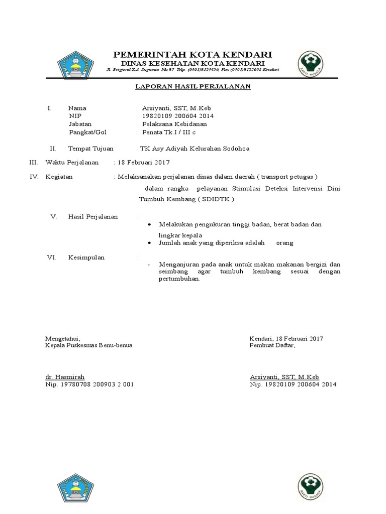 Laporan SDIDTK TK Asy Adiyah 2017 | PDF