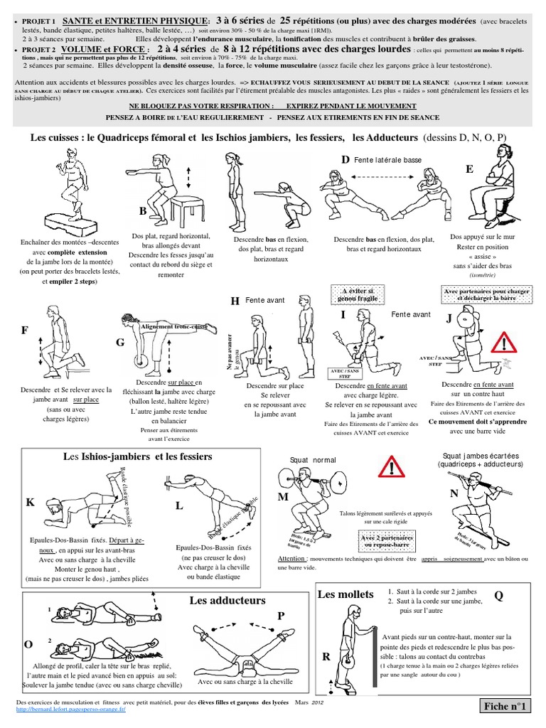 2012_planches_musculation_CP5.pdf | Musculation | Muscle