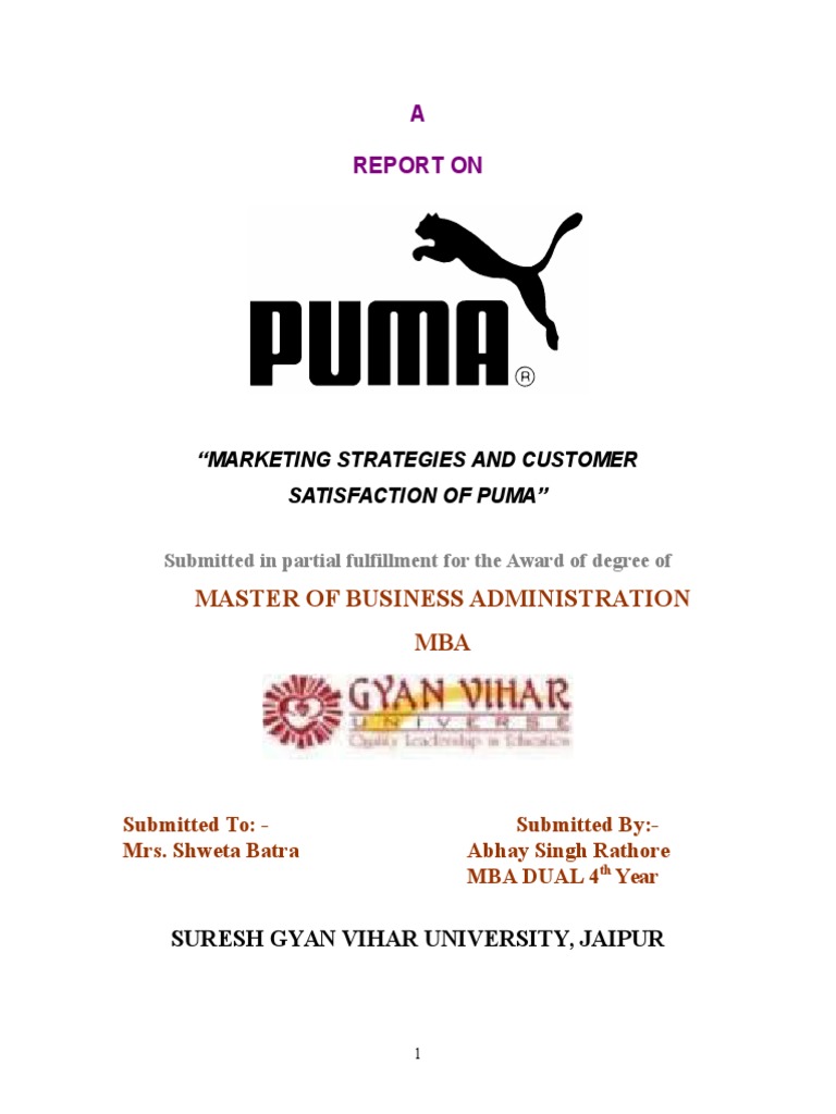 Puma 325 | PDF | Marketing Strategy | Strategic Management