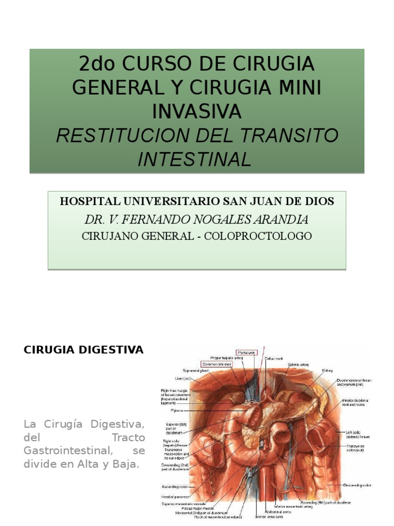 Restitucion Del Transito Intestinal | PDF | Septicemia | Intestino grueso