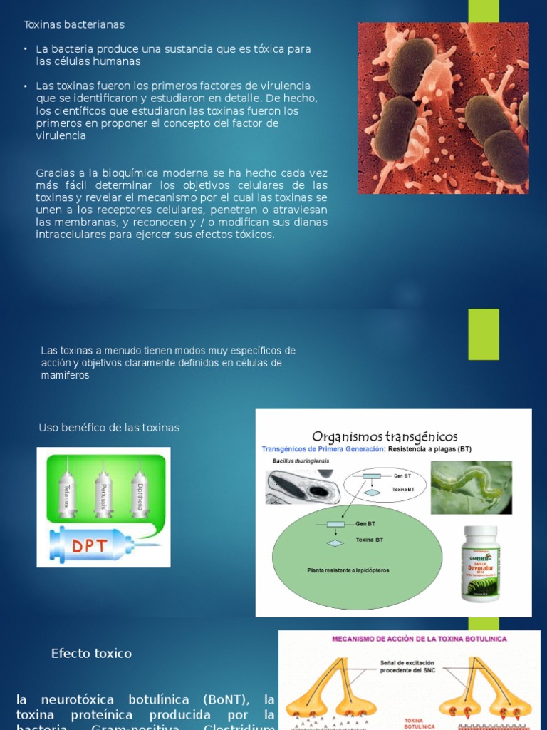 Toxinas | PDF | Las bacterias | Biología Celular)