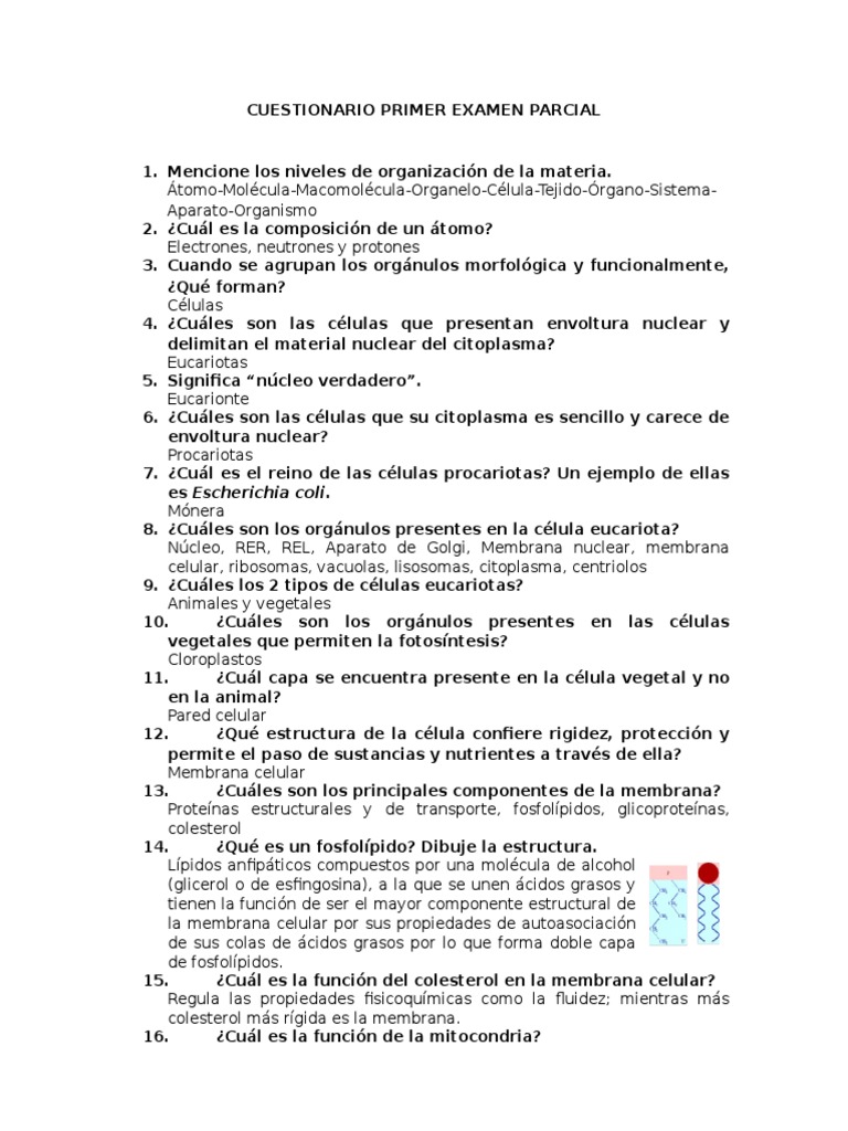 Cuestionario "La Célula" | Biología Celular) | Membrana celular