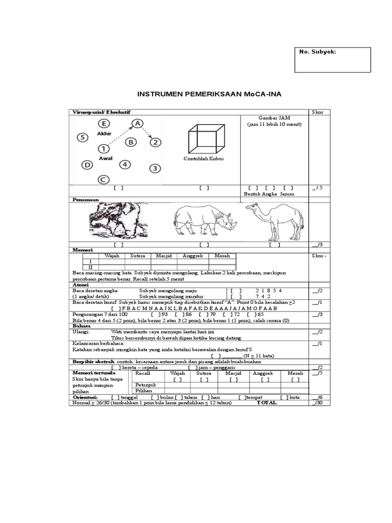 Instrumen Pemeriksaan Moca-Ina | PDF
