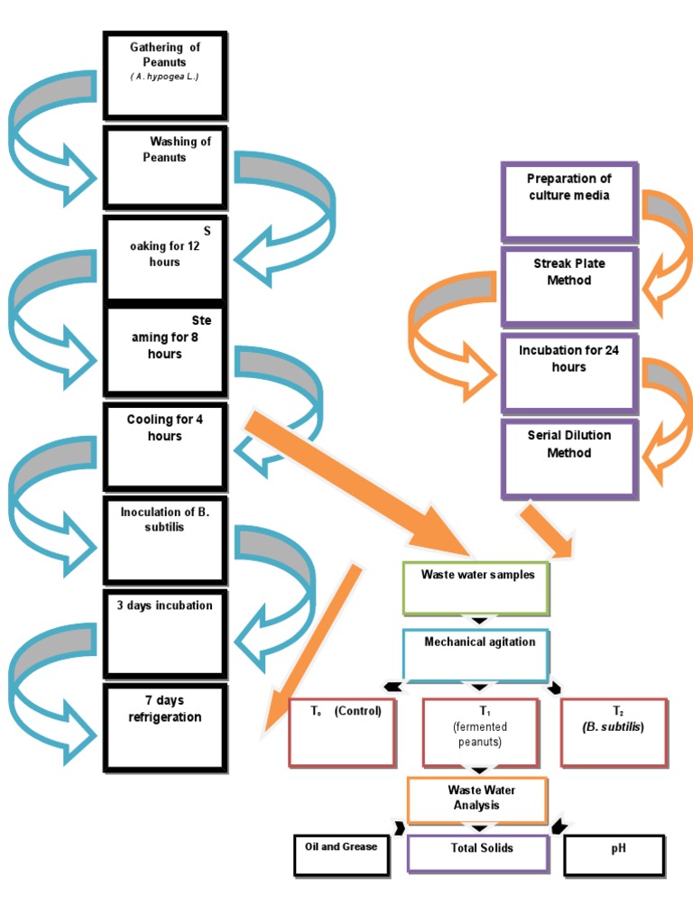 Preparation of Culture Media | PDF