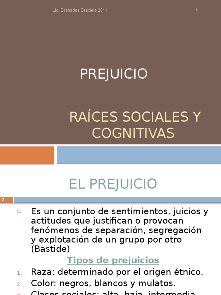 Causas y Tipos de Prejuicio Social | PDF | Prejuicios | Estereotipos