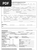 Mother-Baby Care Handoff Report Sheet | PDF | Pregnancy | Childbirth