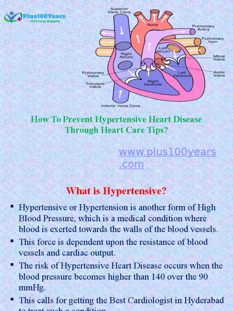 WWW - Plus100years: How To Prevent Hypertensive Heart Disease Through ...
