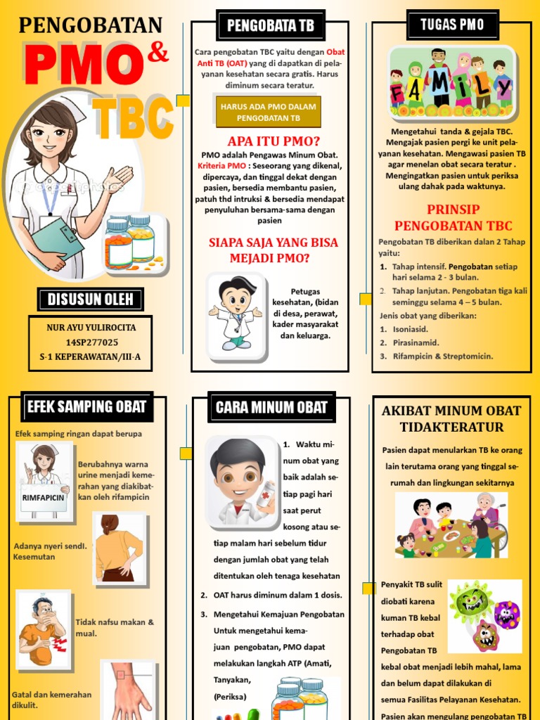 Panduan Pengobatan dan PMO TBC | PDF