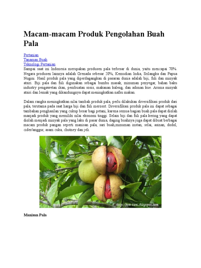 Produk Olahan Pala | PDF