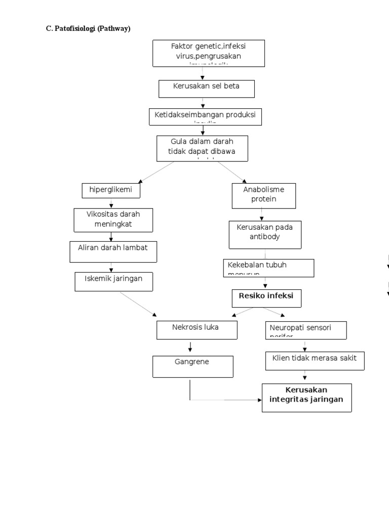Patofisiologi Ulkus DM Peminatan | PDF